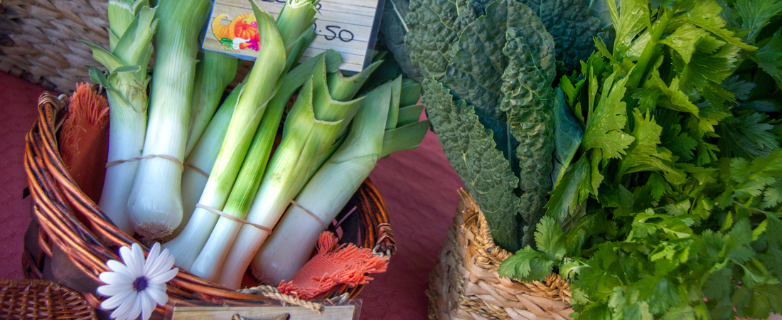 Home - Mary Valley Country Harvest Cooperative - Mary Valley Country ...