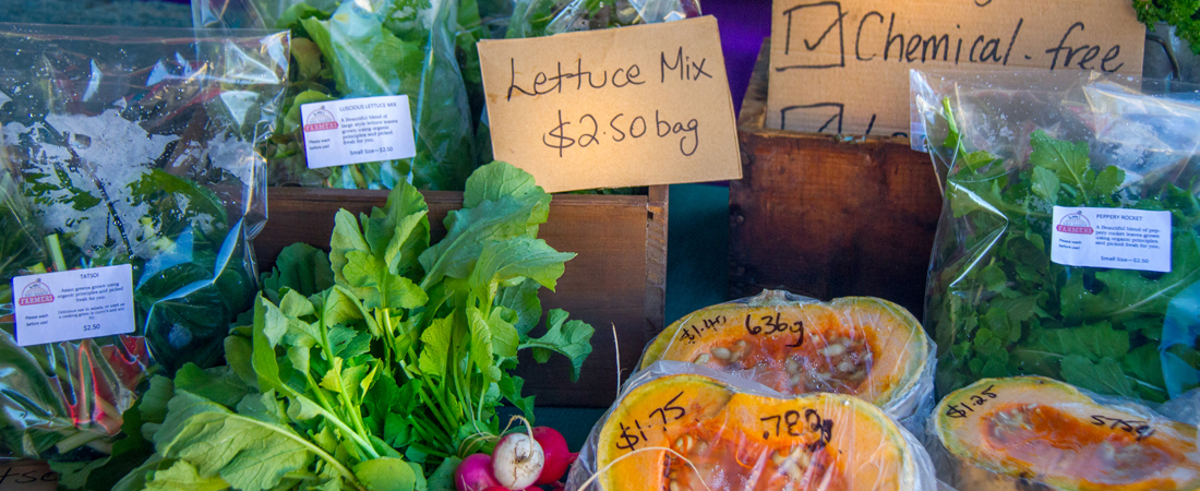 Home - Mary Valley Country Harvest Cooperative - Mary Valley Country ...