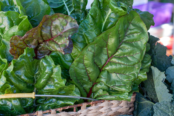 Home - Mary Valley Country Harvest Cooperative - Mary Valley Country ...
