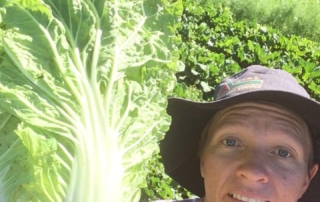 Home - Mary Valley Country Harvest Cooperative - Mary Valley Country ...